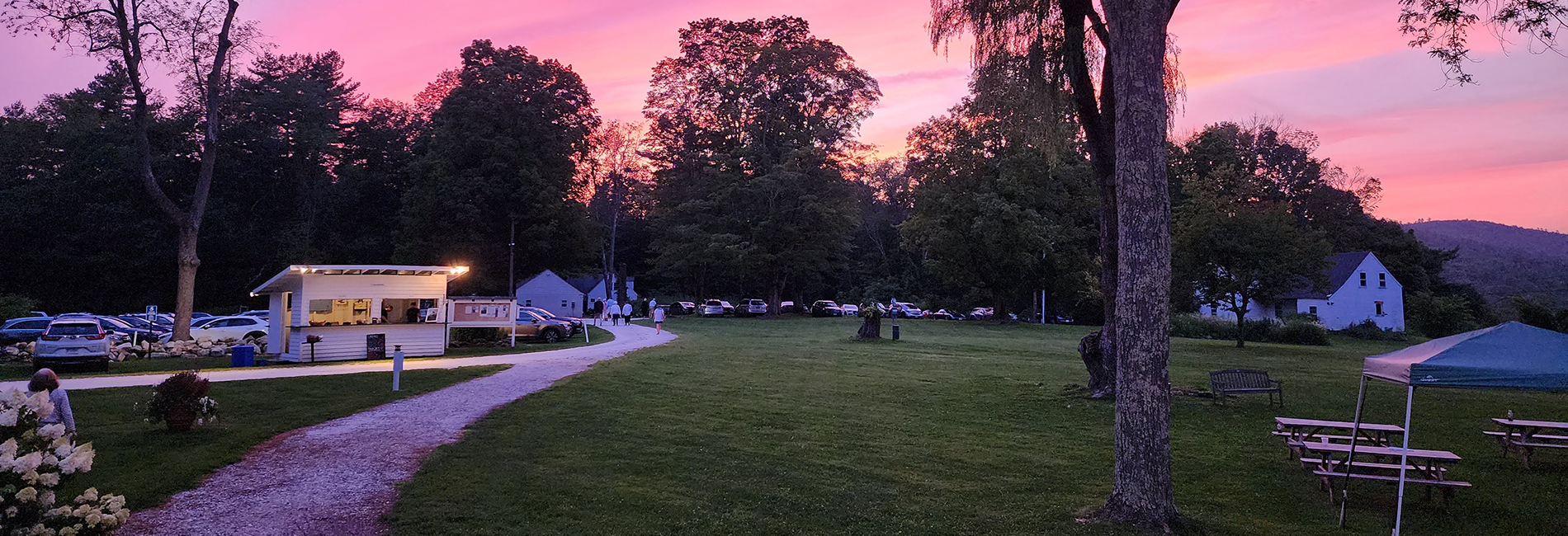 Music Mountain 2024 Lifetime Achievement Award | Music Mountain